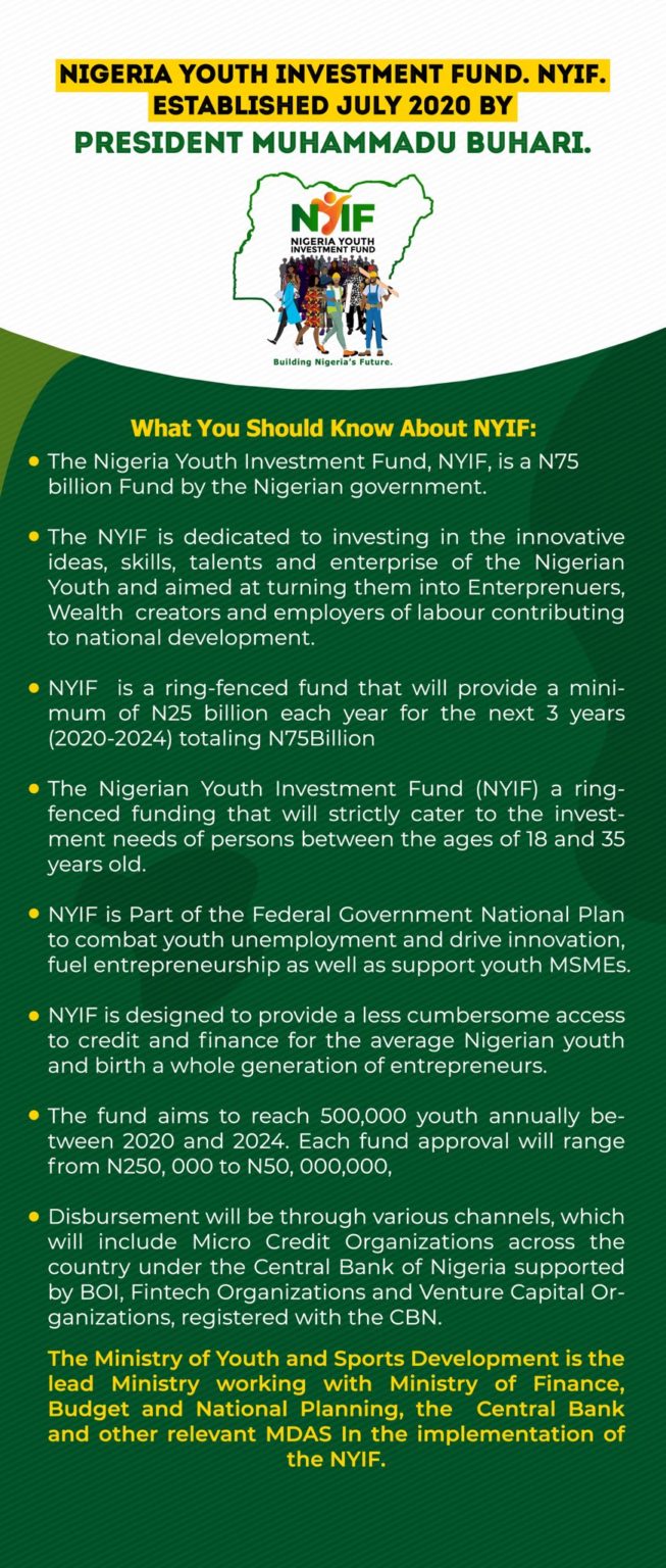 Nigerian Youth Investment Fund - Application Portal and How to Apply ...