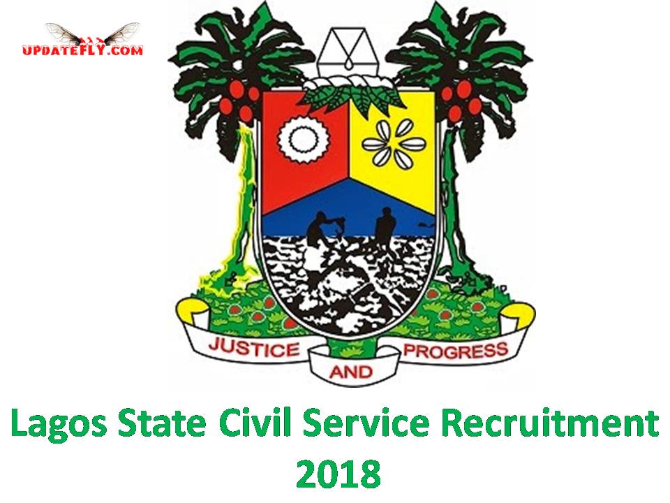 Lagos State Civil Service Recruitment 2023 | Requirements and How to ...