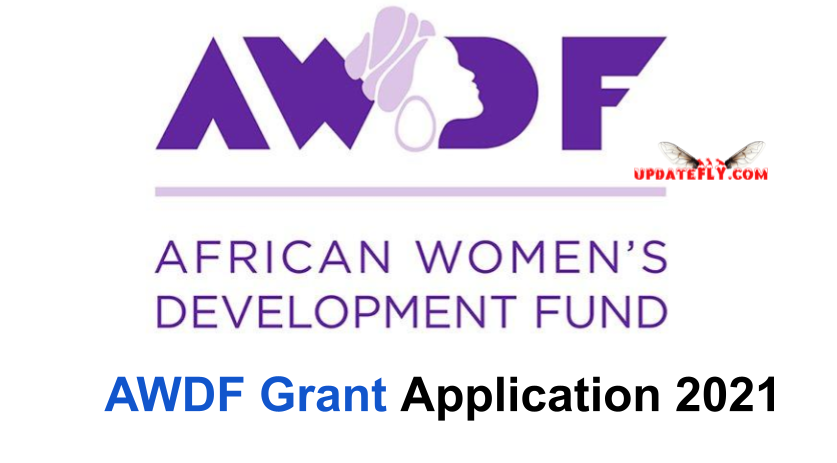 African Women Development Fund Grant Application 2021/2022 - Updatefly.com