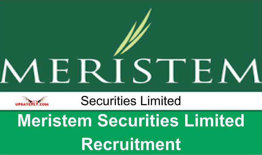 Meristem Securities Limited Recruitment 2022/2023 Application Portal ...
